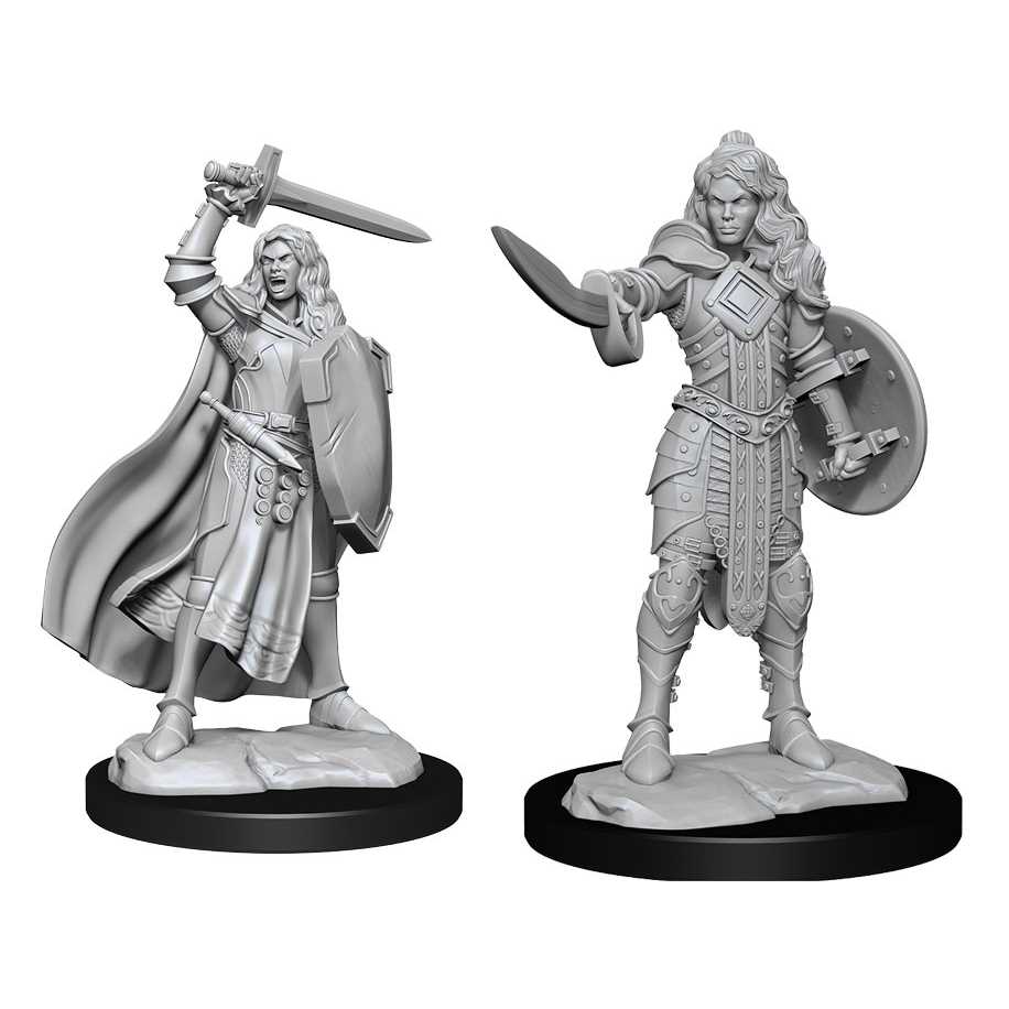 Pathfinder Deepcuts: Human Champion Female – Asmodee UK